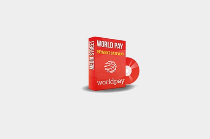 Worldpay Plug-in | Website Services Devon | Media Street